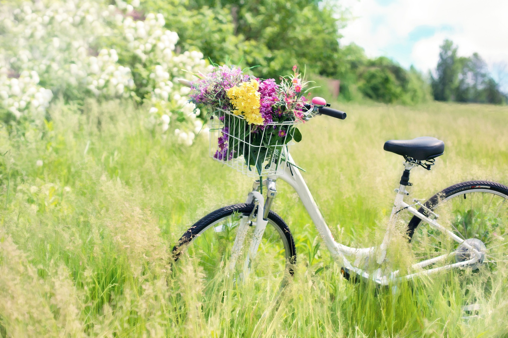 Spring Into Fitness Blog For Muslim Women And Mothers