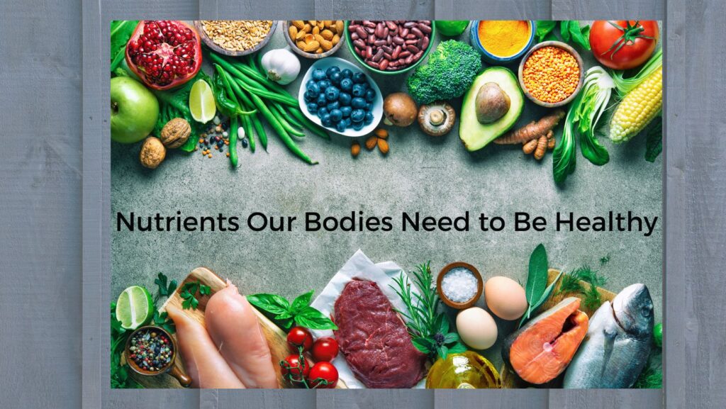 Nutrients Our Bodies Need to be Healthy - Muslim Moms